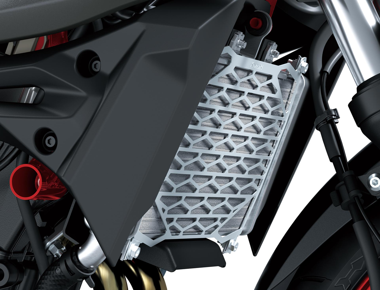 999941048 | Radiator Cover | Kawasaki